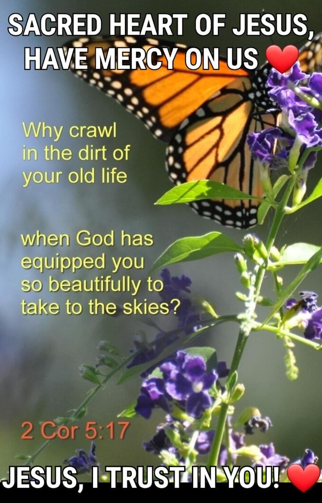 SACRED HEART OF HAVE MERCY ON US Why crawl "o in the dirt of your old ...