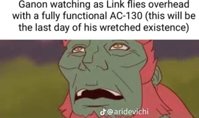 Ganon watching as Link flies overhead with a fully functional AC-130 ...