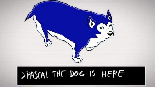 >PASCAL THE DOG IS HERE - iFunny
