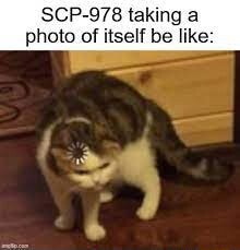 SCP-978 taking a photo of ttself be like *sunny.ce - iFunny