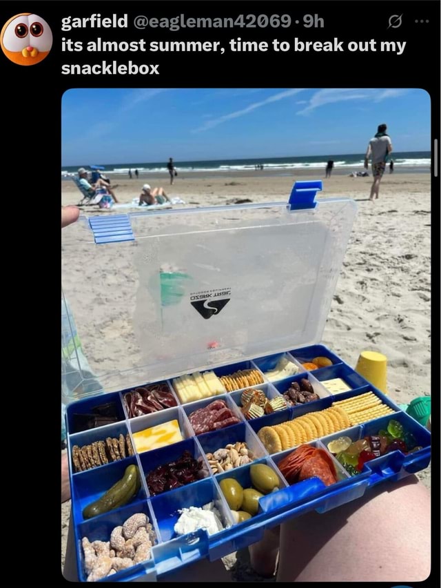 To break out my time ts almost summer, garfield snacklebox - iFunny