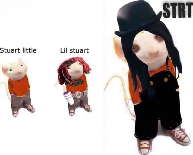 Stuart little Lil stuart - iFunny