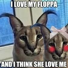 TLOVE MY FLOPPA THINK SHE LOVE ME - iFunny
