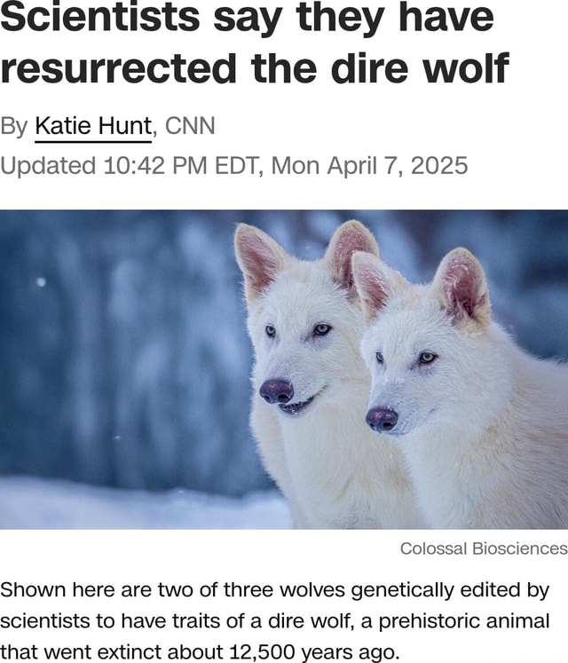 Scientists say they have resurrected the dire wolf By Katie Hunt, CNN ...