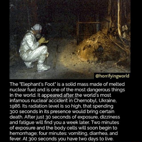 O Ohoriyinguorid The "Elephants Foot' is a solid mass made of melted ...