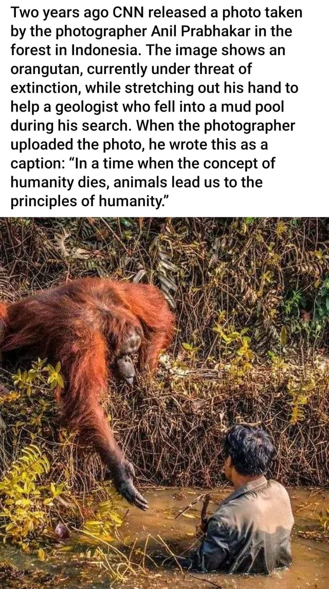 Two years ago CNN released a photo taken by the photographer Anil ...