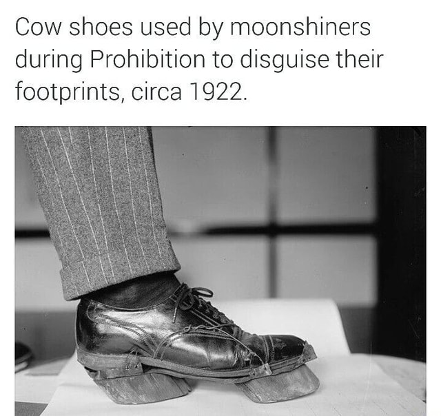 Cow shoes used by moonshiners during Prohibition to disguise their ...