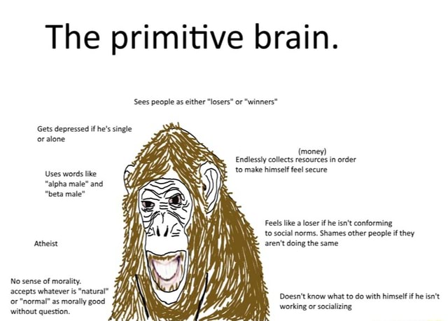 The primitive brain. Sees people as either "losers" or "winners" Gets ...