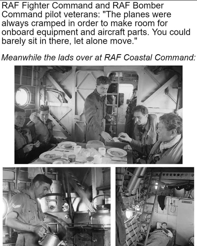 RAF Fighter Command and RAF Bomber Command pilot veterans: "The planes ...