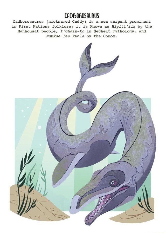 CAOBOROSAURUS Cadborosaurus (nicknamed Caddy) is a sea serpent ...