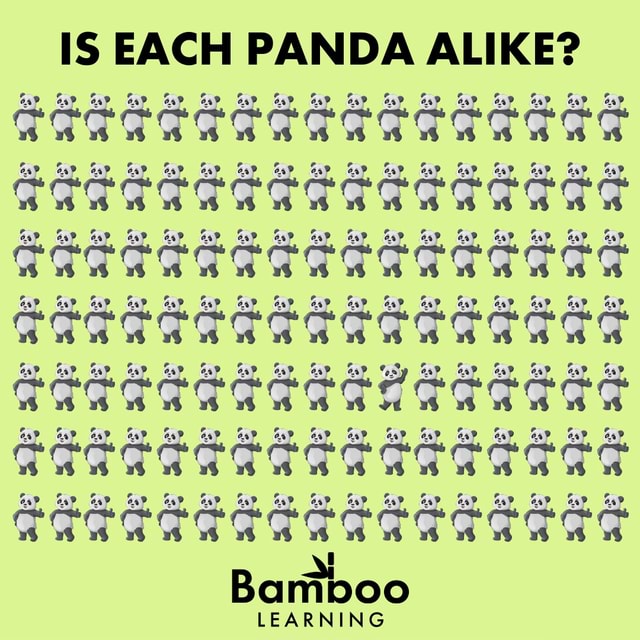 Can you spot the odd Panda out in less than a minute? Only 2 out of 10 ...