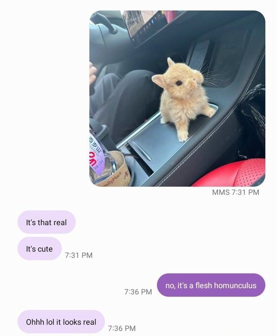 MMS PM It's that real It's cute PM no, it's flesh homunculus PM PM Ohhh ...