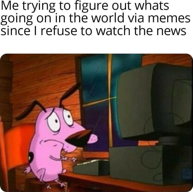 Me trying to figure out wnats going on in the world via memes since I ...