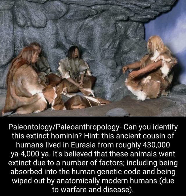 Can you identify this extinct hominin? Hint: this ancient cousin of ...