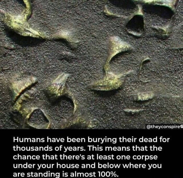 Humans have been burying their dead for thousands of years. This means ...