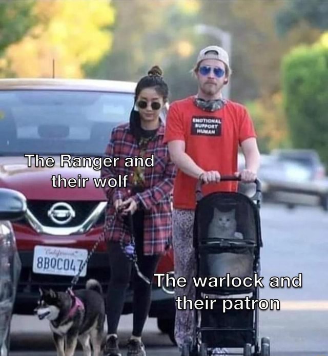 The Ranger and their wolf The warlock and their patron - iFunny