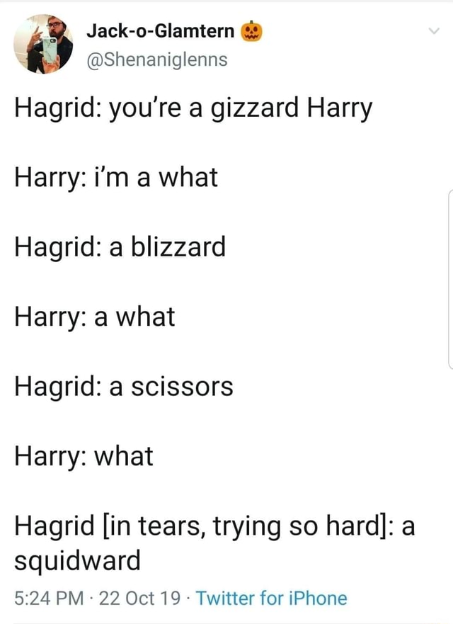 Jack-o-Glamtern @ Hagrid: you're a gizzard Harry Harry: i'm a what ...
