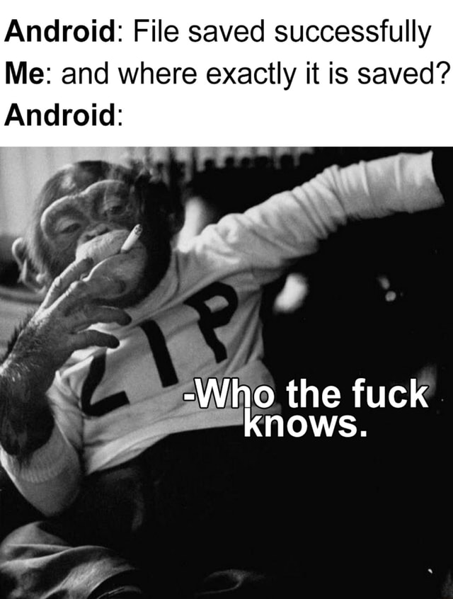 This meme was made by iPhone gang - Android: File saved successfully Me ...