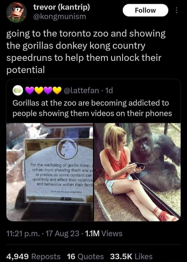 Monkey rule - Monkey rule trevor (kantrip) @kongmunism Follow going to ...