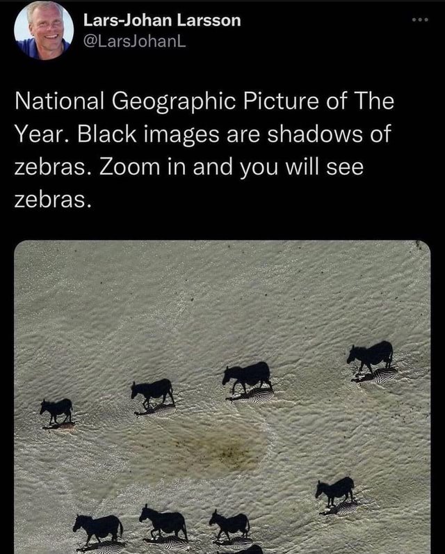 N/A - Lars-Johan Larsson National Geographic Picture of The Year. Black ...