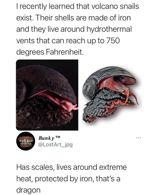 I recently learned that volcano snails exist. Their shells are made of ...