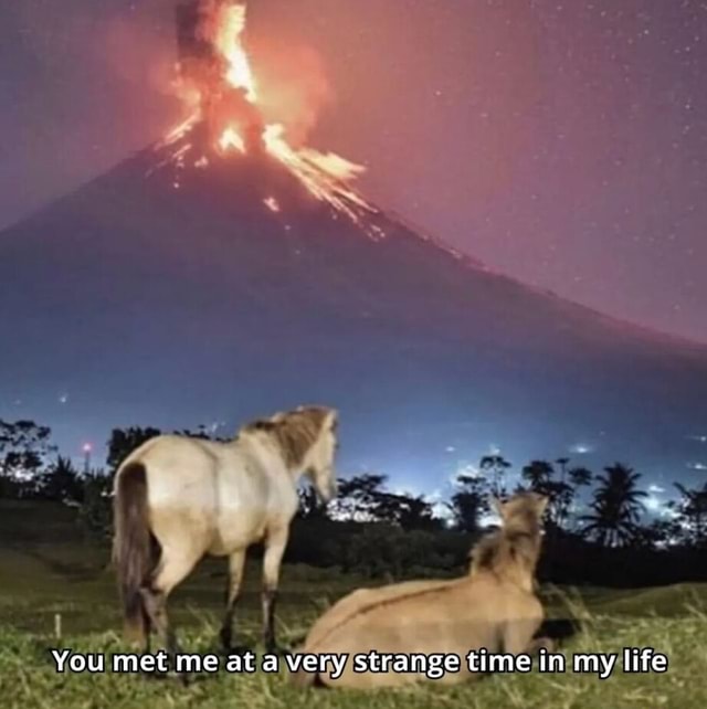 You met me at a very strange time in my life - iFunny