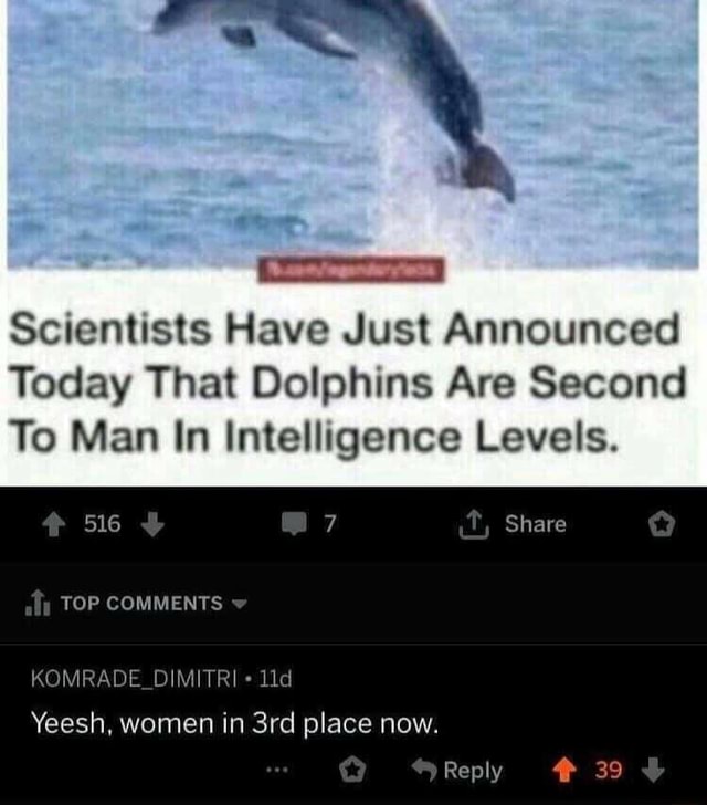 SS Scientists Have Just Announced Today That Dolphins Are Second To Man ...