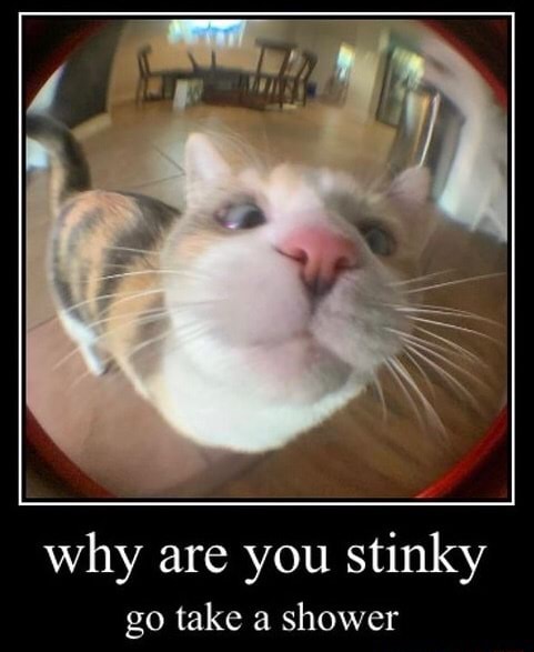 Why are you stinky go take a shower - iFunny