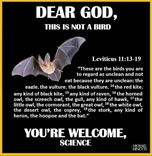 DEAR GOD, THIS IS NOT A BIRD Leviticus "These are the birds you are to ...
