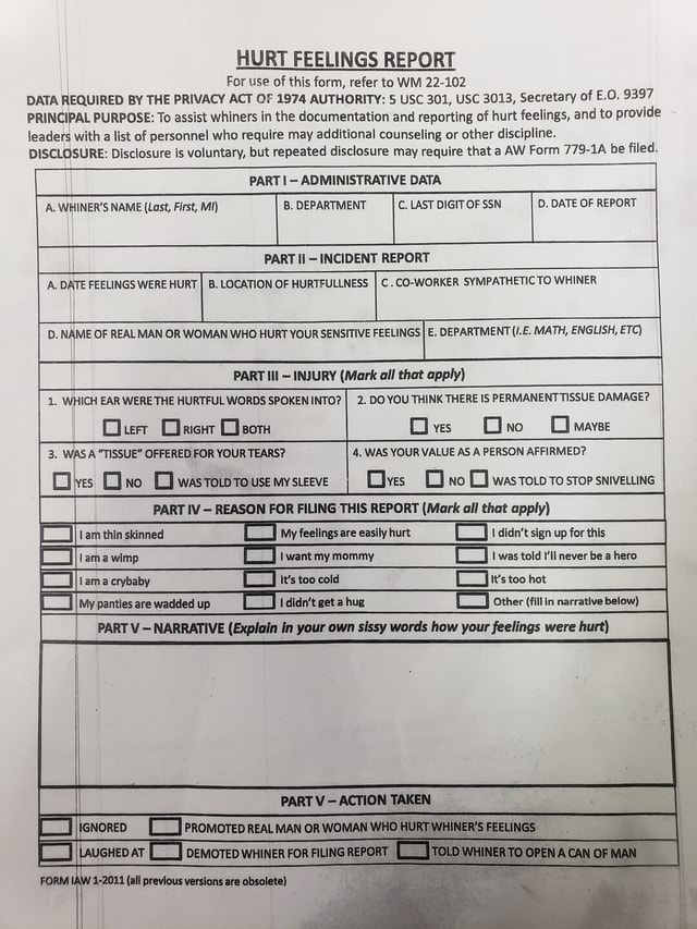 HURT FEELINGS REPORT For use of this form, refer to WM 22-102 DATA ...