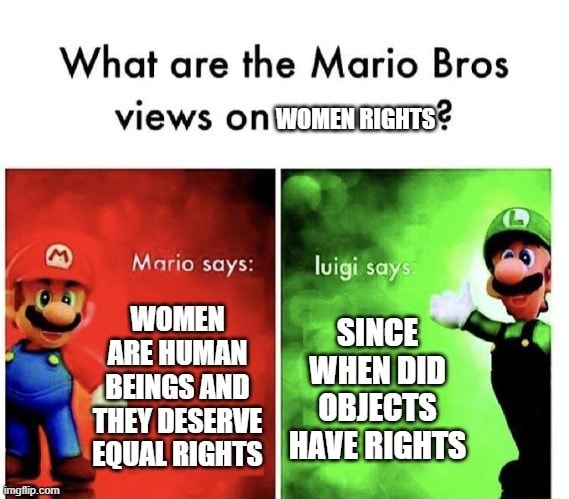 What are the Mario Bros views Mario says: luigi seys SINGE WOMEN ARE ...