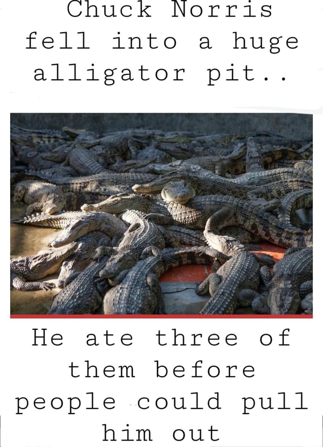Chuck Norris fell into a huge alligator pit.. He ate three of them ...
