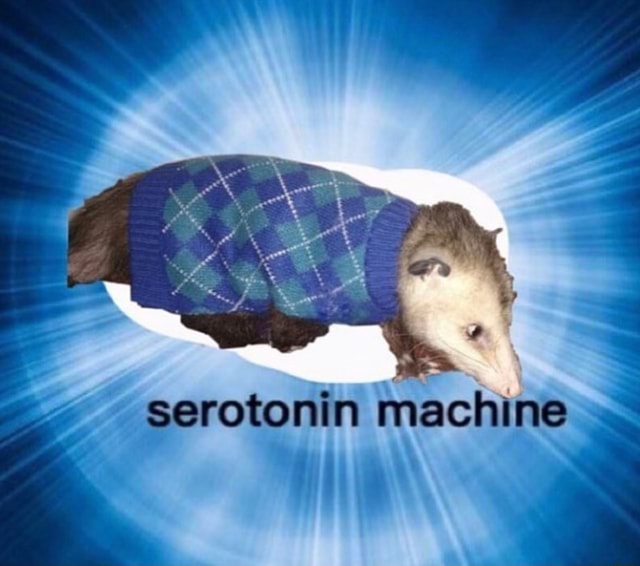 Serotonin machine - iFunny