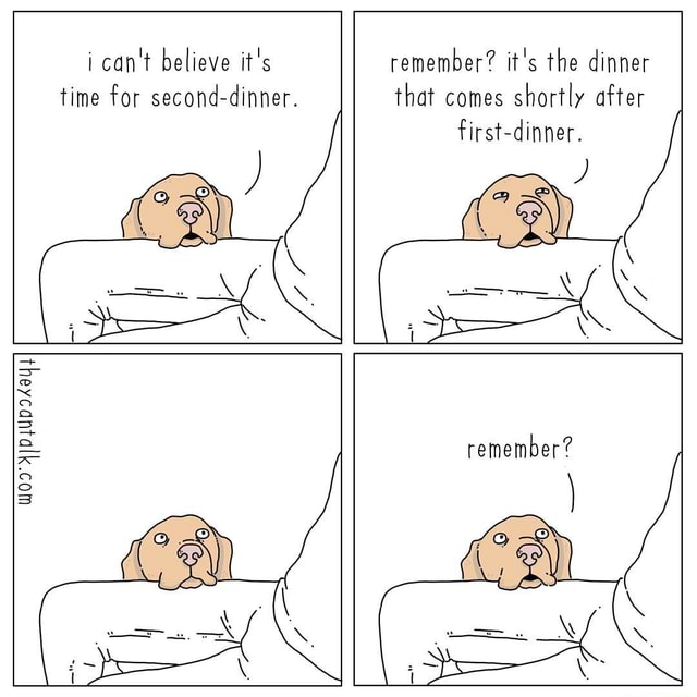 I can't believe it's remember? it's the dinner time for second-dinner ...