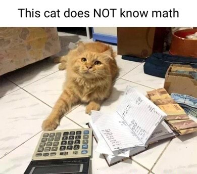 This cat does NOT know math - iFunny