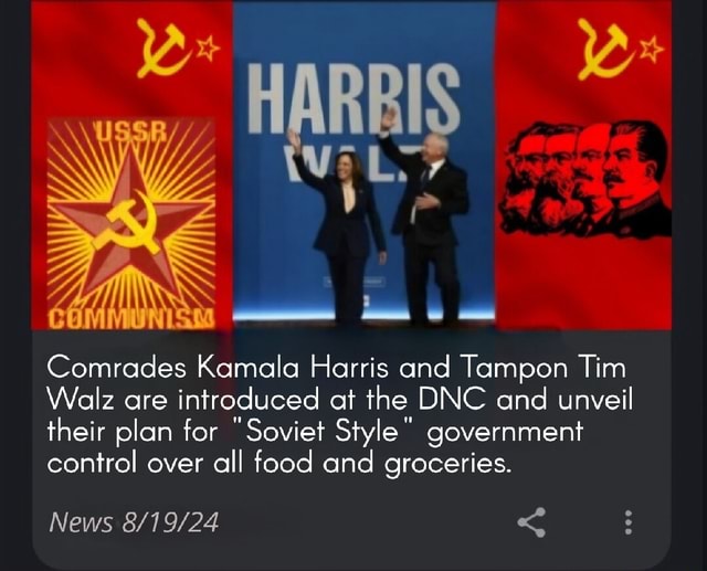 HARRIS fl Comrades Kamala Harris and Tampon Tim Walz are introduced at ...