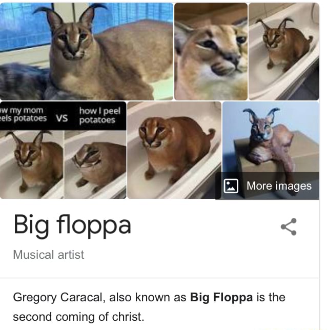 More images Big floppa Musical artist Gregory Caracal, also known as ...