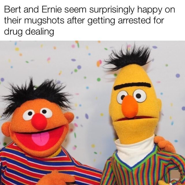 Bert and Ernie seem surprisingly happy on their mugshots after getting ...