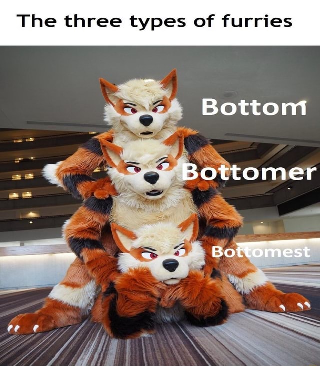 The three types of furries e 57 Bottom - iFunny
