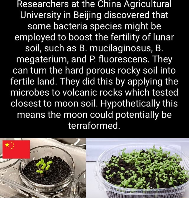 Researchers at the China Agricultural University in Beijing discovered ...