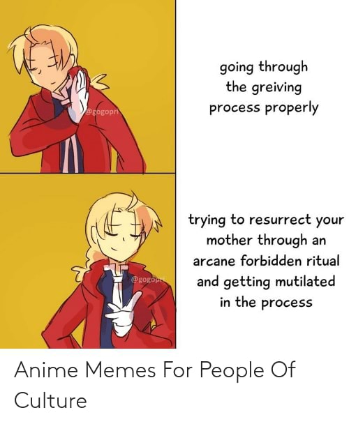 Anime Memes For People Of Culture - going through the greiving process ...