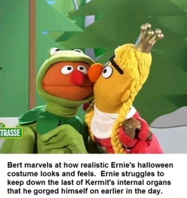 Bert marvels at how realistic Ernie's halloween costume looks and feels ...