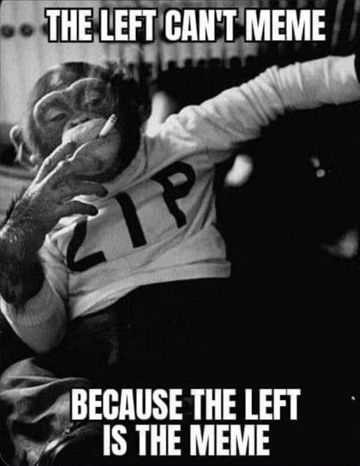 FT CANT MEME THE, LEFT CAN'T MEME ~ BECAUSE THE LEFT IS THE MEME - iFunny