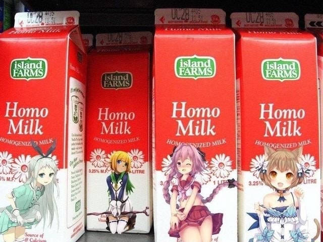 Homo Milk Homo Mil Homo Milk - iFunny