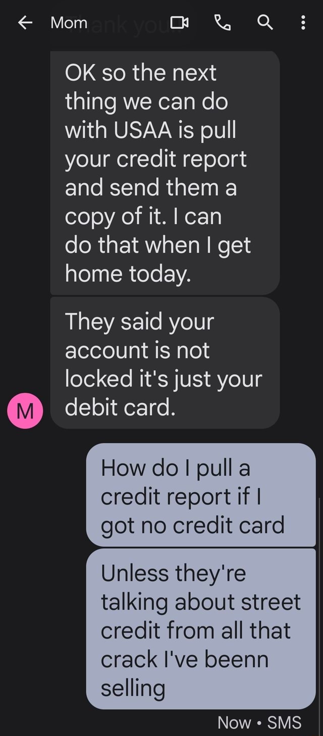 Mom OK so the next thing we can do with USAA is pull your credit report ...
