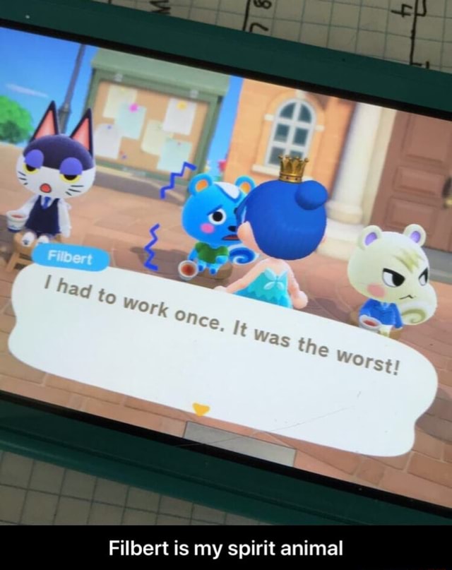 Filbert is my spirit animal - Filbert is my spirit animal - iFunny