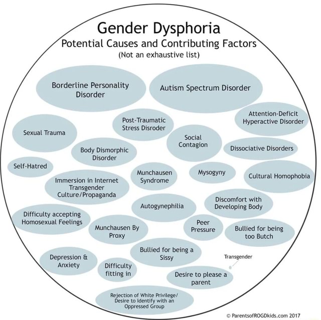 Gender Dysphoria Potential Causes and Contributing Factors (Not an ...