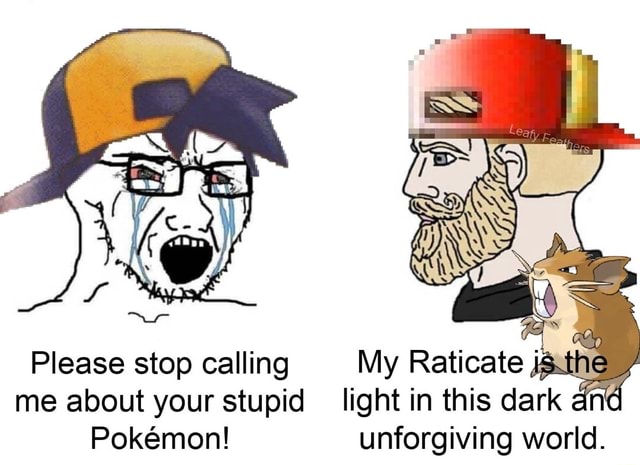 Please stop calling My Raticate me about your stupid light in this dark ...