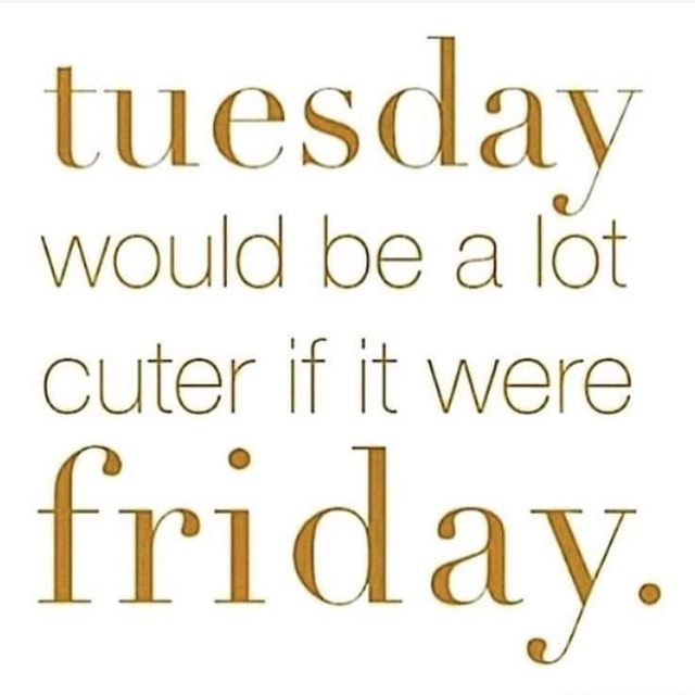 Tuesday would be a lot cuter if it were friday. - America’s best pics ...