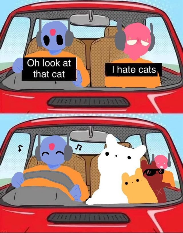 Oh look at that cat I hate cats - iFunny